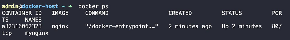 How to Create Docker Image From a Container