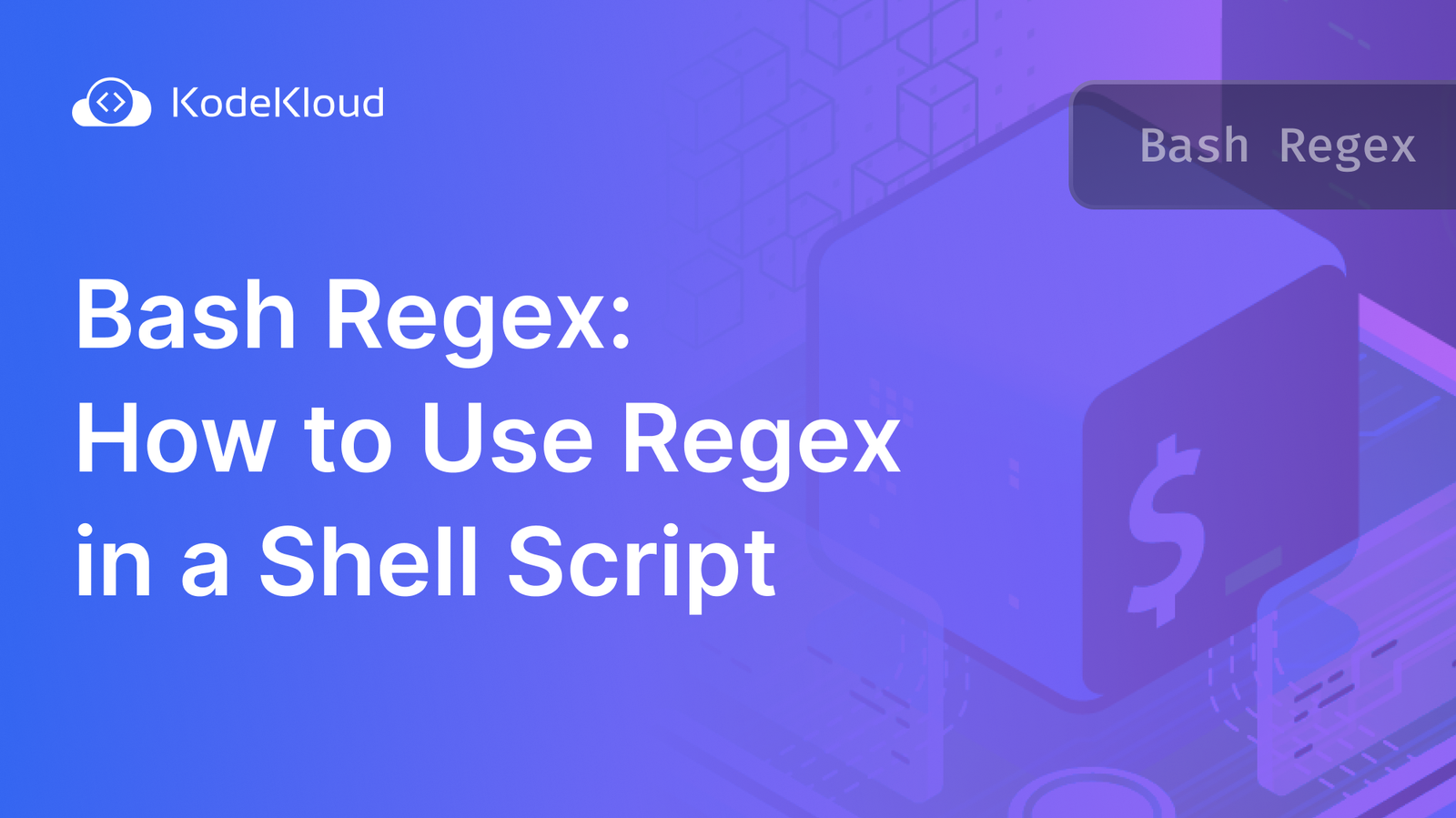 Bash Regex How To Use Regex In A Shell Script
