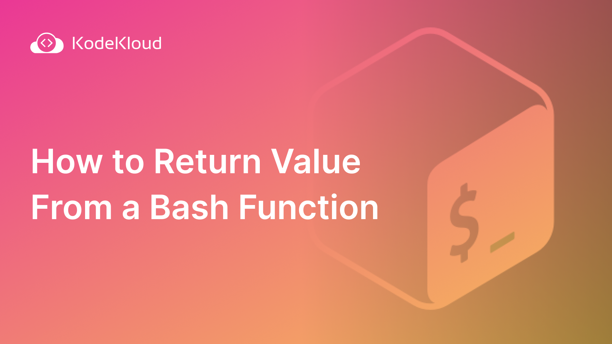 How To Return Value From A Bash Function