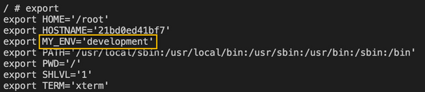 How to Pass Environment Variables to Docker Containers