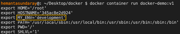 How to Pass Environment Variables to Docker Containers