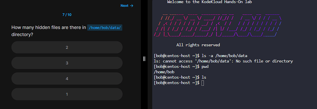 Lab Logging In And System Documentation Lfcs Kodekloud Devops Learning Community 