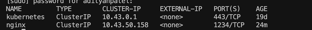 How to ping a clusterip service from another POD (raspberry Pi on-prem ...
