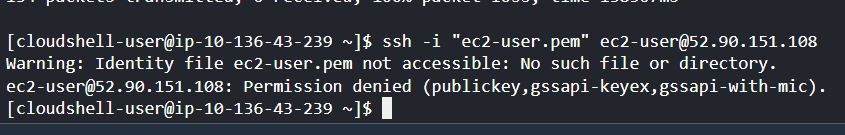 Aws Lab Public And Private Subnets And The Gateways That Enable Them Cant Connect To Ec2 