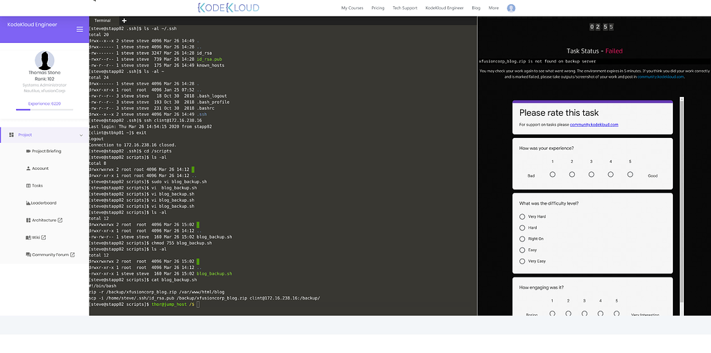 Bash Script Task Doesnt Say To Run Script Kodekloud Devops